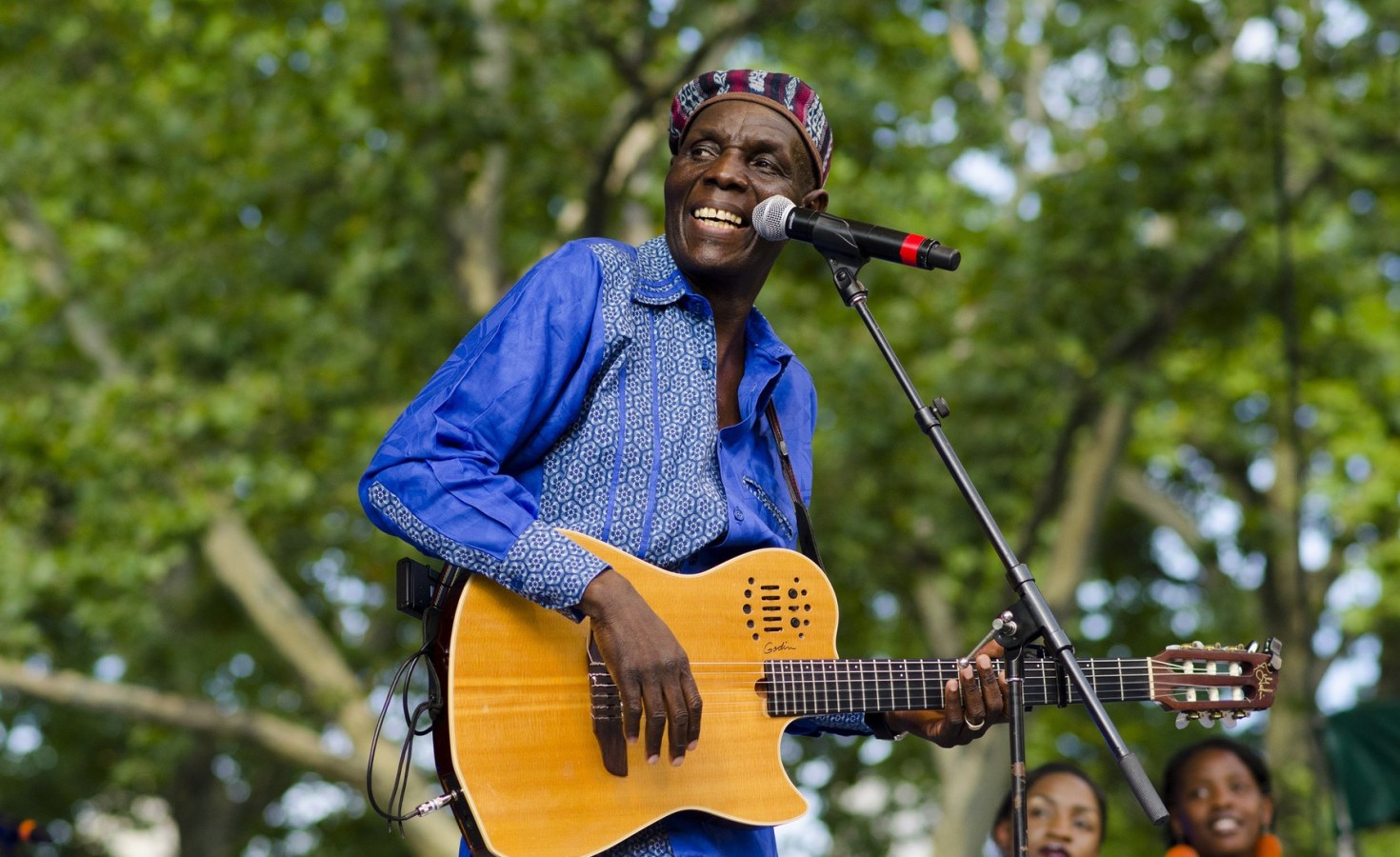 Zimbabwe: Tuku to Reclaim Global Iconic Status - allAfrica.com