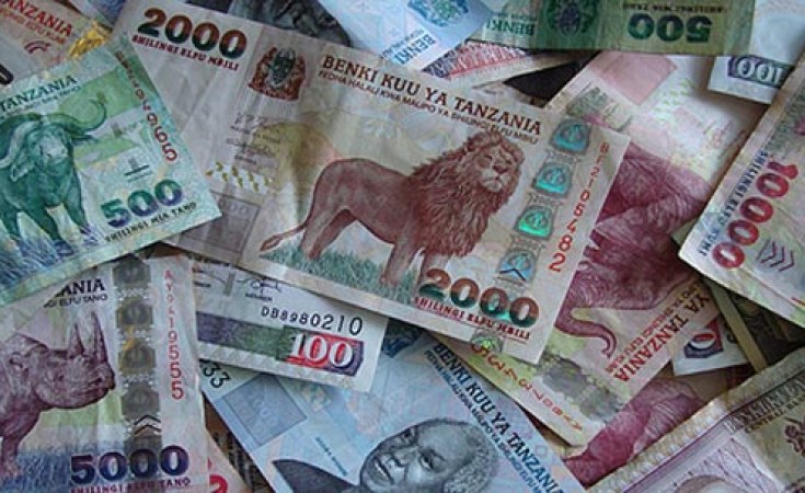 Africa: Tanzania Flying Economy Brightens Africa Growth - allAfrica.com