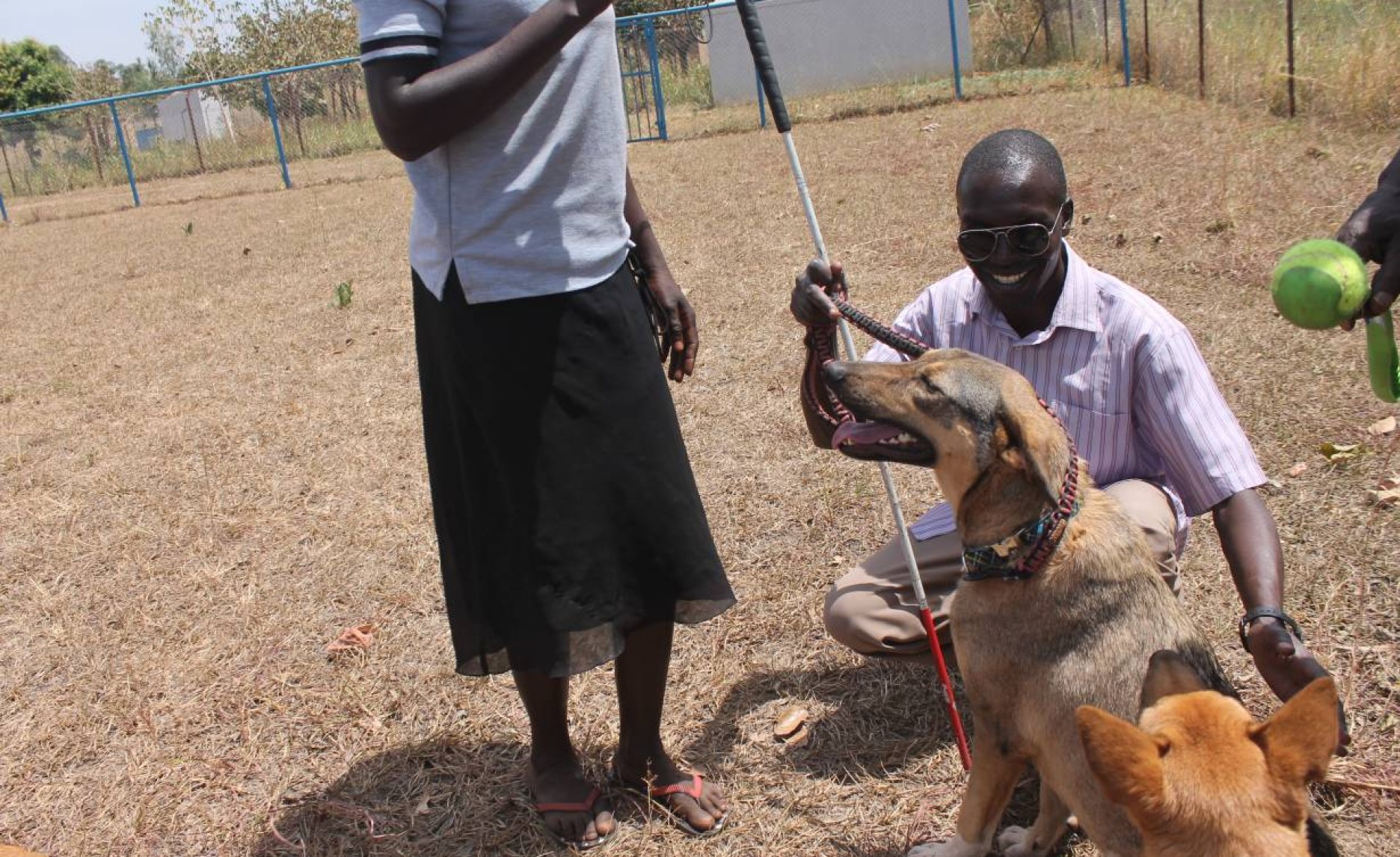 Uganda: Therapy Dogs Heal Traumatised Survivors of Brutal Ugandan War ...