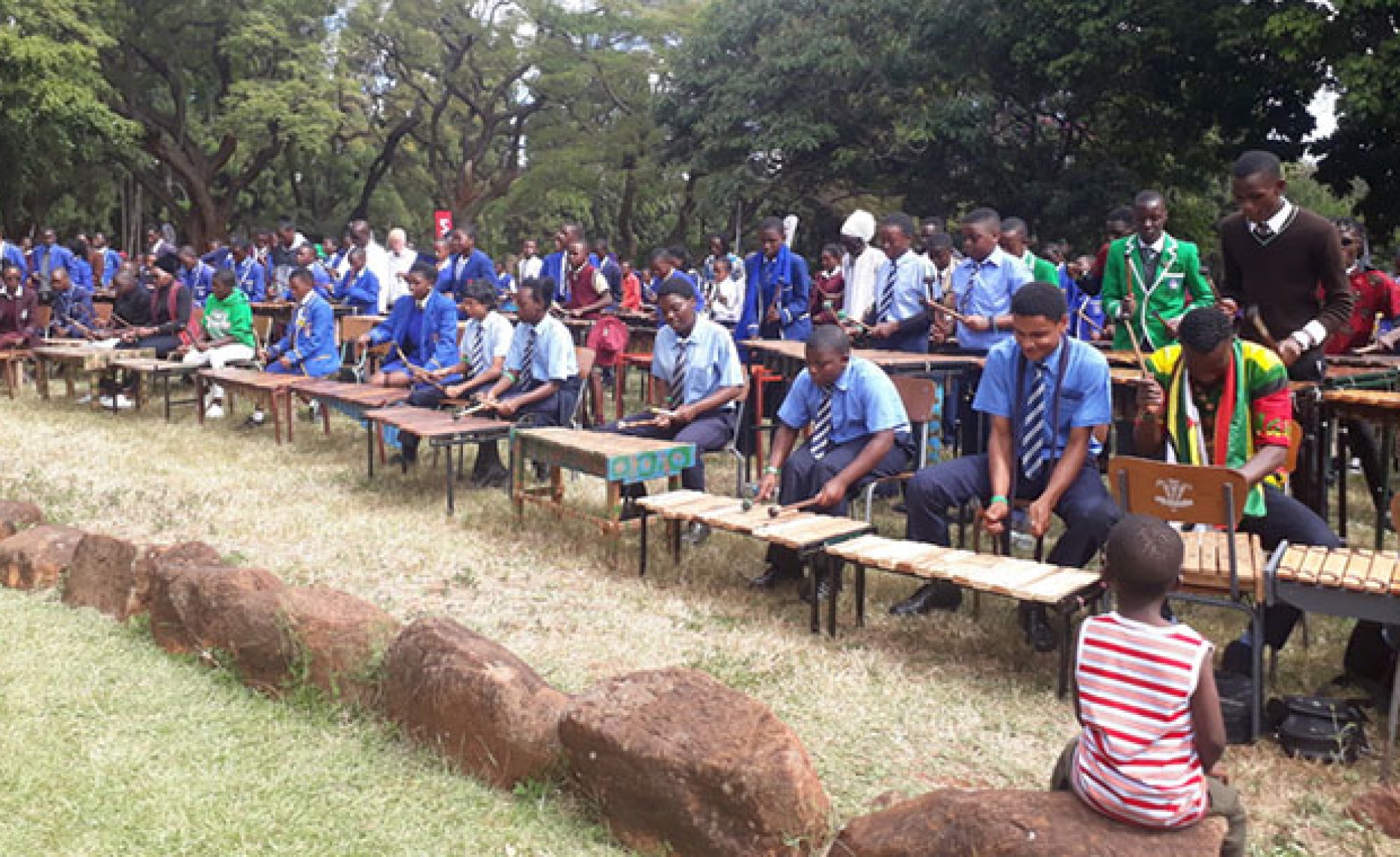Zimbabwe: Zimarimba Fest Breaks World Record - allAfrica.com