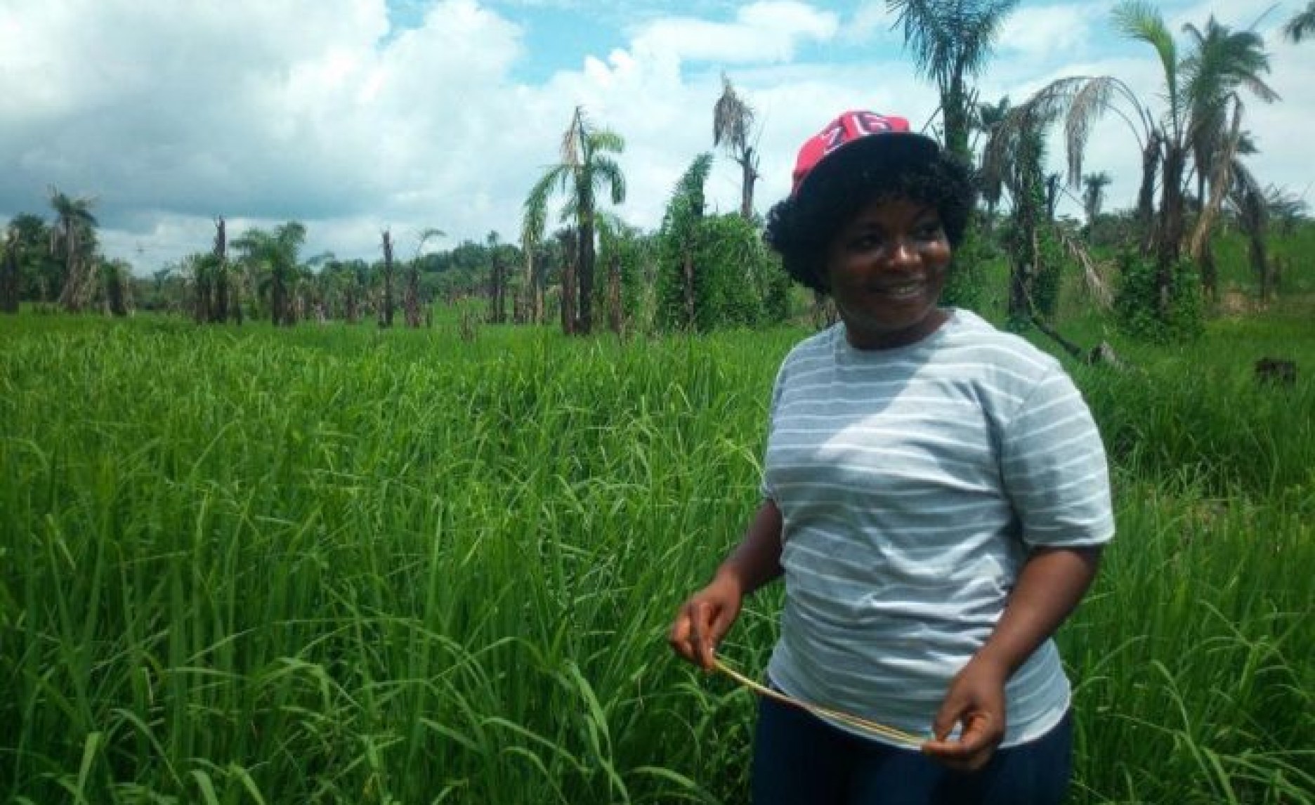 Liberia: Female Agriculturist Cultivates 15 Acres of Farmland in Bong ...