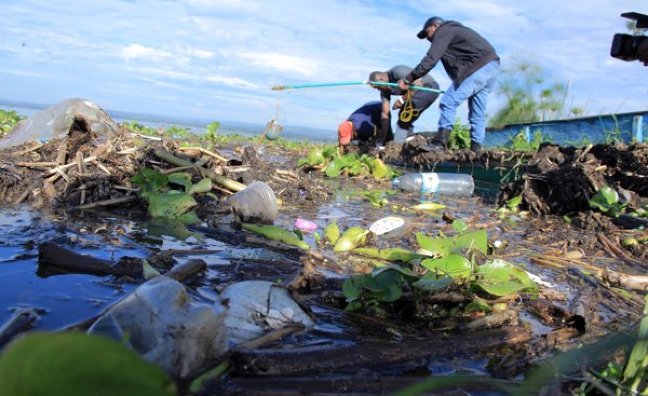 Uganda: Pollution Takes Toll On Lake Victoria - allAfrica.com