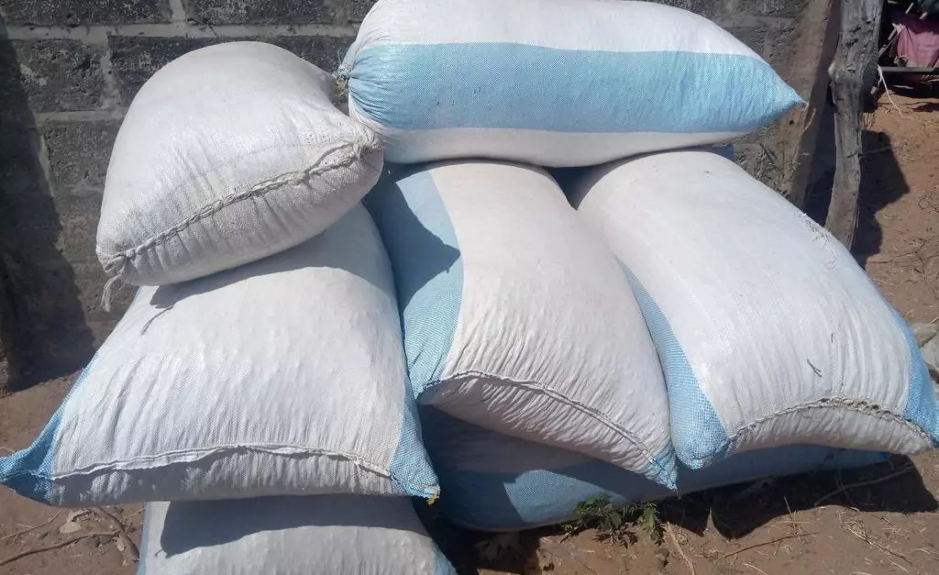 West Africa: Gambia Loses Tons of Groundnuts to Senegalese Wholesalers ...