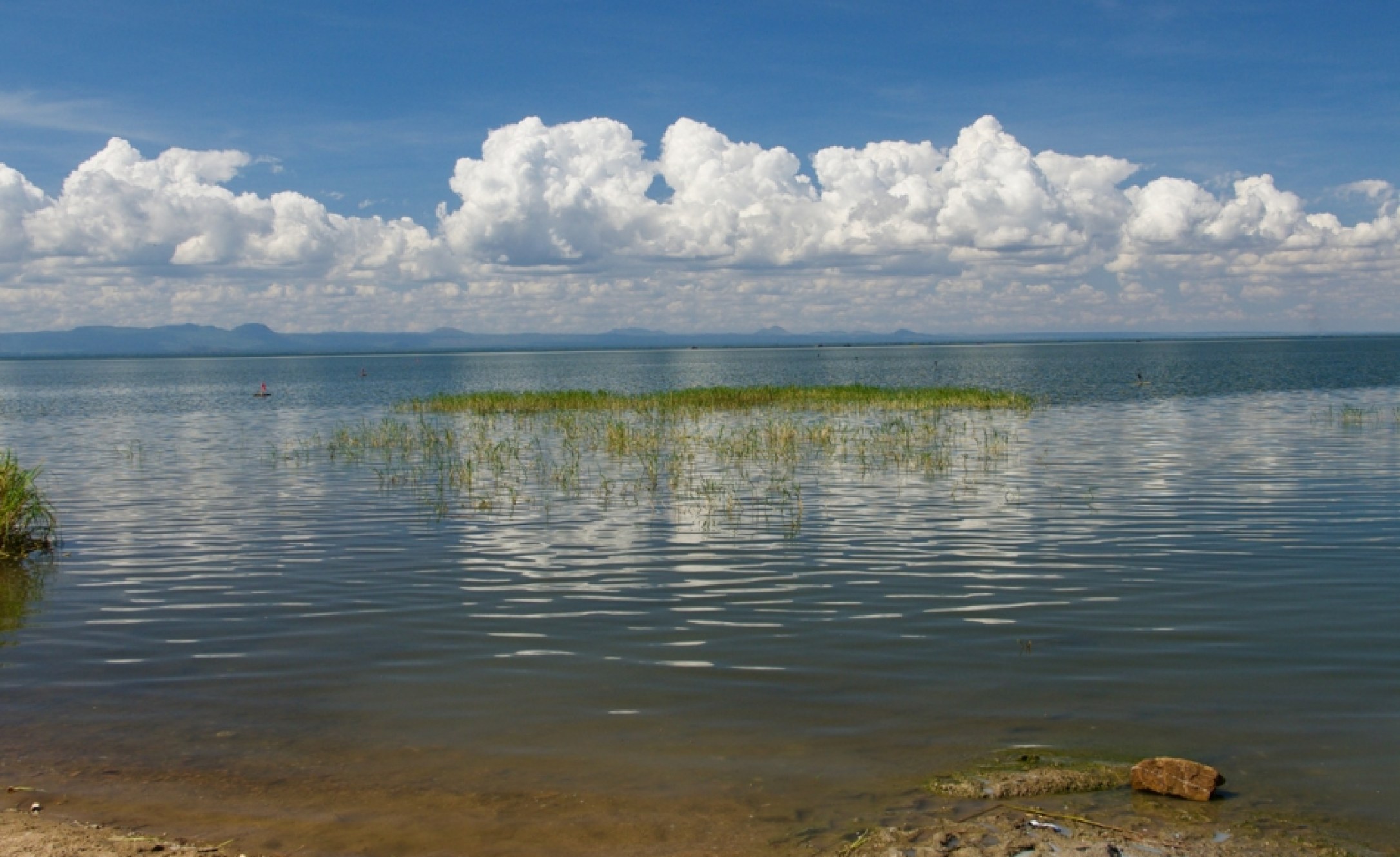 Cameroon's 'Exploding Lakes' - Disaster Expert Warns Deadly Gas Release ...
