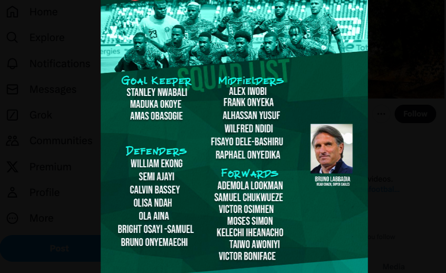 Super Eagles' Coach Choice Raises Eyebrows - allAfrica.com